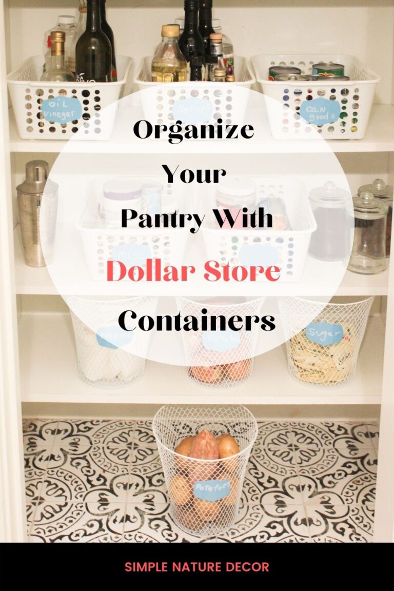 Dollar Tree Storage Containers Ideas For Organizing Pantry