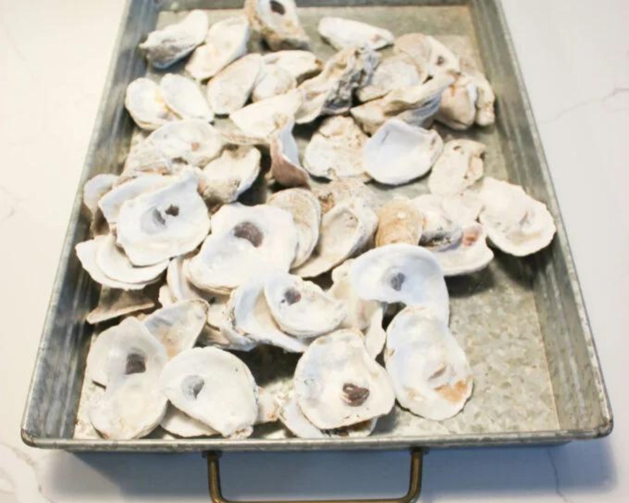 DIY Oyster Shell Bookends